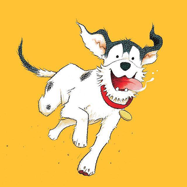 10 stunning Scottish picture books - Scottish Book Trust