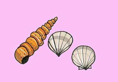 Seashell Song Lyrics - Scottish Book Trust