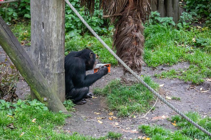 Press release: Book Week Scotland launches 2022 programme - Scottish ...