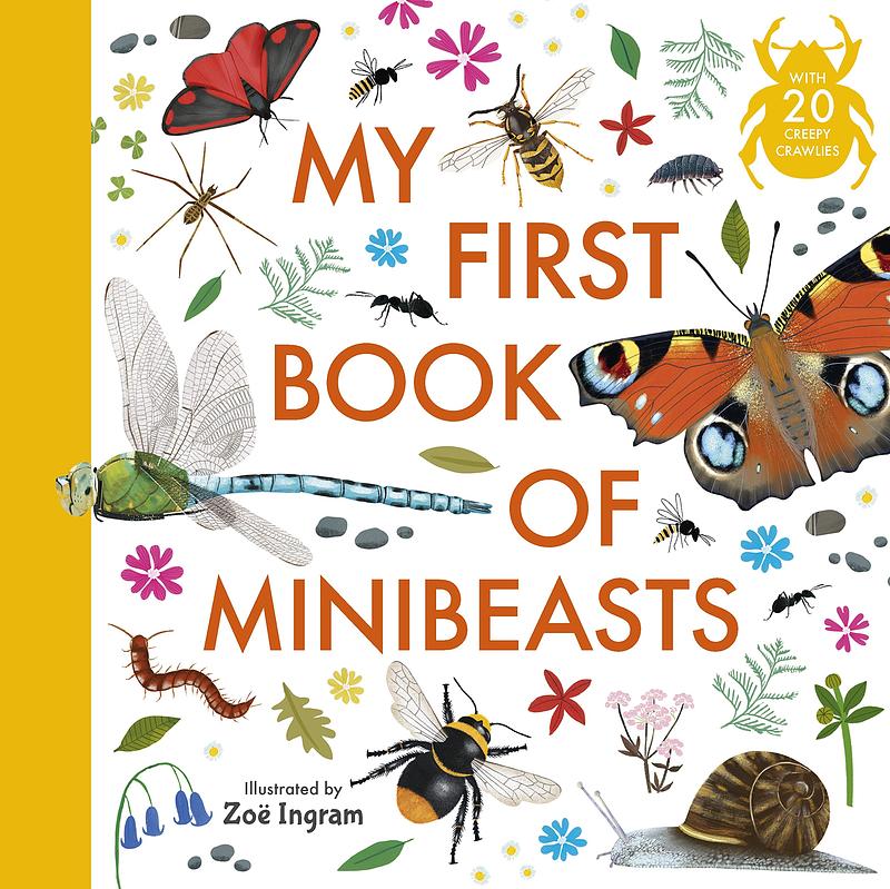 My First Book of Minibeasts by Zoë Ingram - Scottish Book Trust